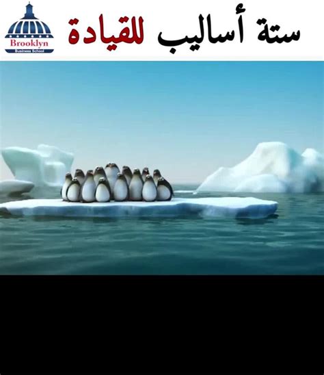 Mohamed Galal Posted On Linkedin