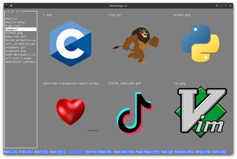 Gallery TermVisage 0 3 0 Dev Documentation