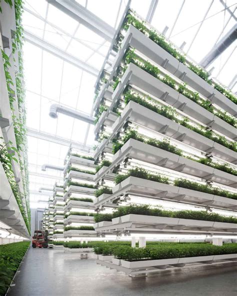 What Is The Difference Between Vertical And Horizontal Hydroponic Farming