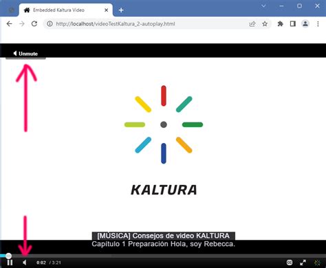 Using Kaltura Player Api In Storyline Articulate Storyline Discussions E Learning Heroes