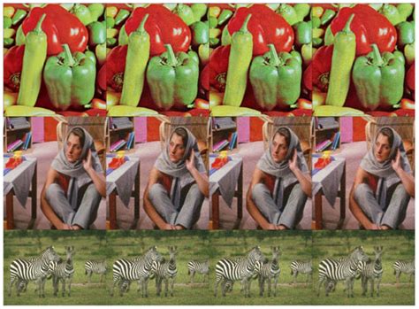 Image Denoising Based On Quantum Calculus Of Local Fractional Entropy