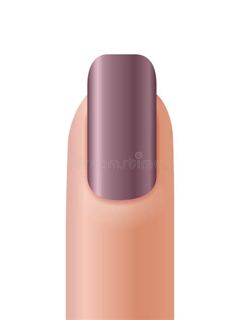 Fingernail Manicure Stock Vector Illustration Of Finger 302624747