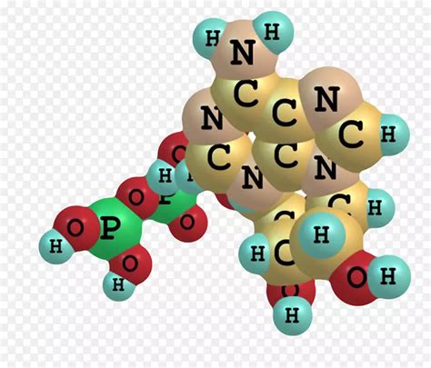 金色三磷酸腺苷分子形状素材PNG图片素材下载 图片编号7478477 PNG素材网