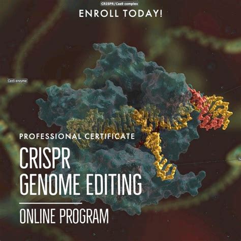 Genomics Drugdiscovery Crispr Biotech Engineering