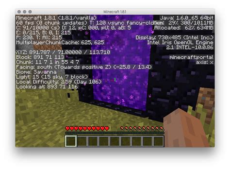 Minecraft Java Edition Why Do Two Different Portals Drop Me Into The