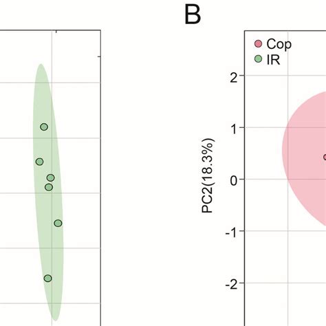 Untargeted Metabolomic Analysis Of Csf After Cerebral Ir And