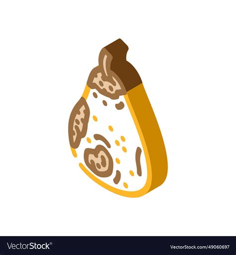 Pear Rotten Food Isometric Icon Royalty Free Vector Image