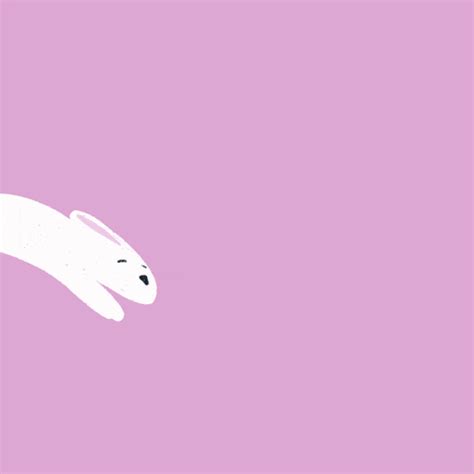 Bunny Hopping Gifs Gifdb Com