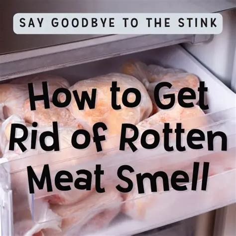 Say Goodbye To The Stink How To Get Rid Of Rotten Meat Smell