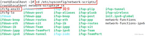 Linux网络设置ifcfg Ens33配置 Csdn博客