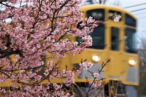 西武鉄道 国分寺線 国分寺～恋ヶ窪 鉄道ホビダス