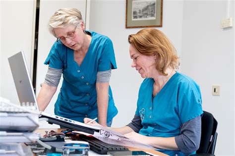 Classificatiemodellen Wat Is De Nursing Intervention Classification Nic Nursingnl