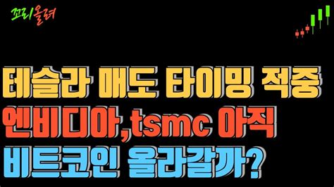 꼬리올려 테슬라 매도 타이밍 적중 비트코인과 엔비디아 주식 매매법 공개 Youtube