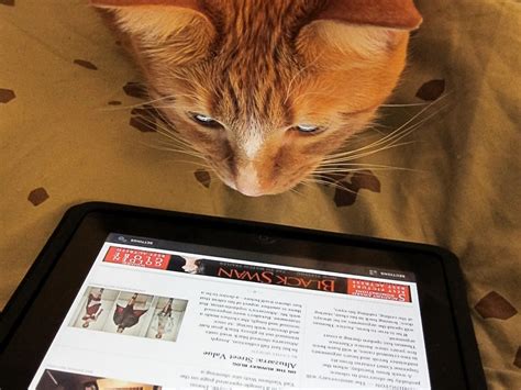 Note Taking When Reading The Web And RSS Zettelkasten Method