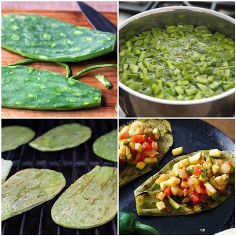Nopal y Diabetes Por qué el Nopal es Bueno para los Diabéticos