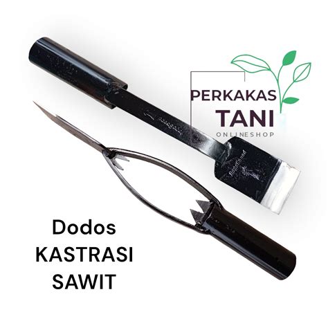 Dodos Kastrasi Sawit Lazada Indonesia