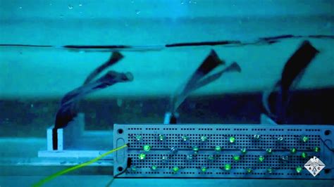 Flexible Power Generators Can Mimic The Way Seaweed Sways To