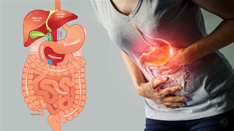Science Reveals 15 Habits For Better Digestion