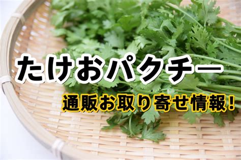 たけおパクチーの通販お取り寄せ！根っこまで食べれる本場の味【青空レストラン】 はっちーのキャンプ場紹介！
