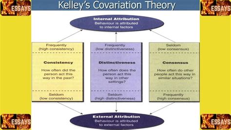 Covariation Model Example Social Psychology Kector Essays