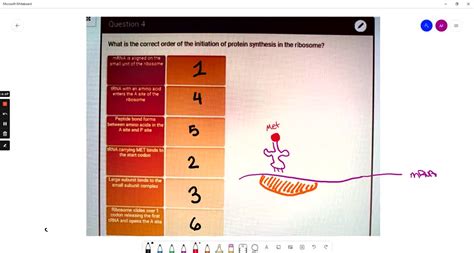 Solved Question 4 Translational Initiation In Prokaryotes Is Based On