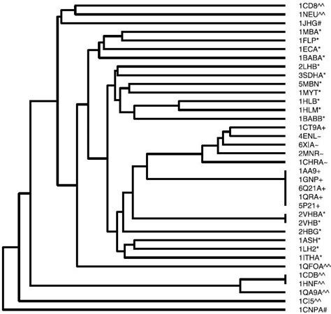 Figure S7 The Phylogenetic Tree Of 36 Protein Sequences Constructed In