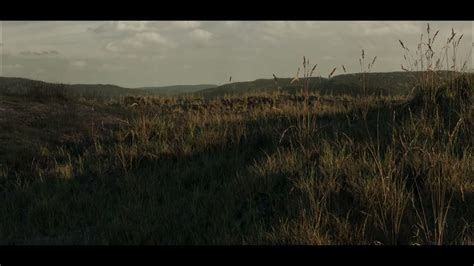 Cinematic Grass Animation in Maya | MASH Tutorial - YouTube