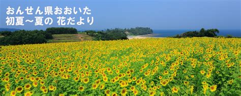 日本一の「おんせん県」大分県の観光情報公式サイト