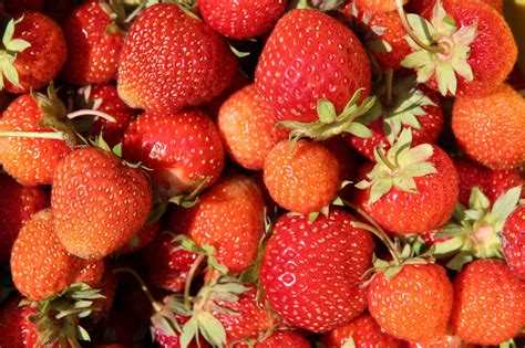 Stroberi Berry Merah Foto Gratis Di Pixabay Pixabay