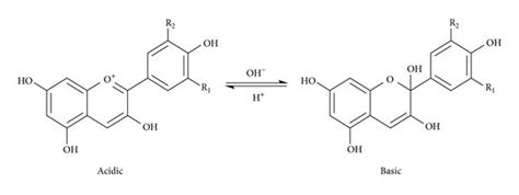 Structure And Working Principle Of Dssc With