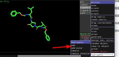 pymol 分离蛋白与小分子保存pymol分离蛋白多聚体亚基pymol对接位点交互图展示去除杂原子 loong XL的博客 CSDN博客