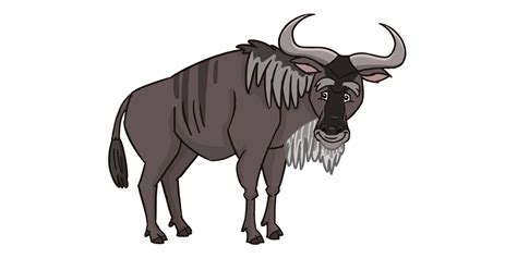 Meet Willy Wildebeest Facts Club Zeb Cartoon Yellow Zebra Safaris