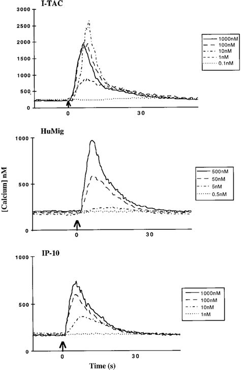 Mobilization Of Intracellular Calcium In Stable Cxcr3 Transfectants