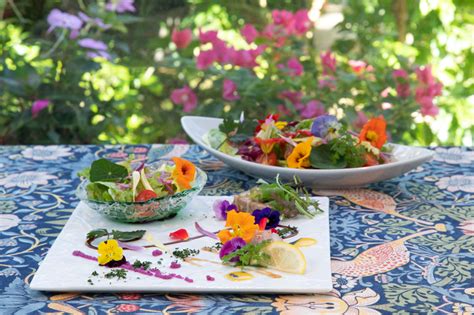 フラワーグルメ｜flower Trip おきなわ｜特集｜沖縄観光情報webサイト おきなわ物語