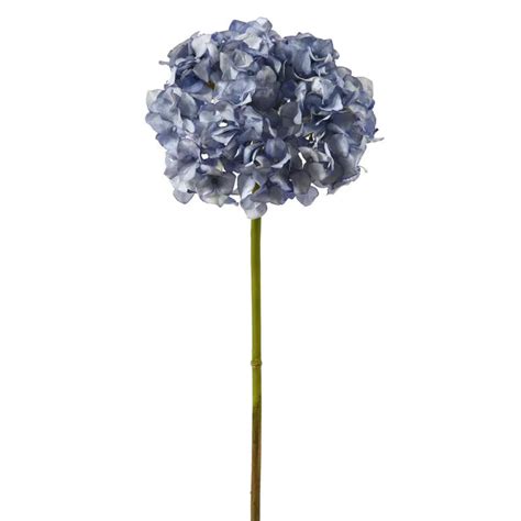 19 Light Blue Hydrangea Without Leaf Modern Display