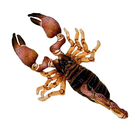 Spike The Scorpion Soft Toy 40cm Huggable Toys Scorpion Toy