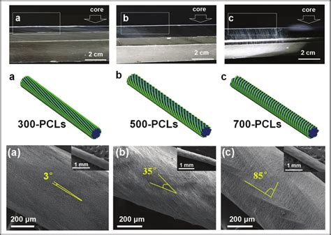 Schematic Illustration Of The A PCLs Fabrication Procedure A C Download Scientific Diagram