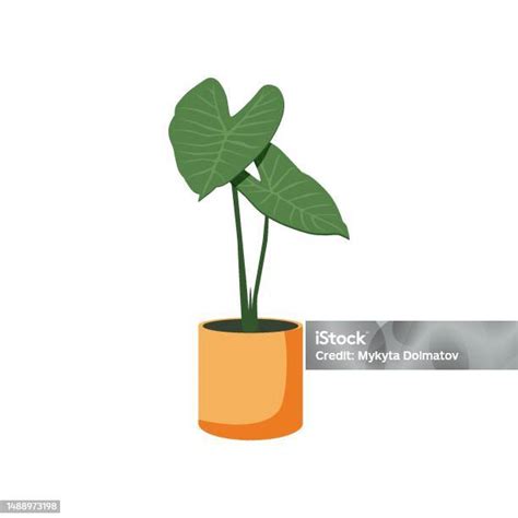 インテリア用のベクター画像アイコンイラスト鉢植えの植物白い背景に分離型鉢植えの装飾的な観葉植物 やしの葉のベクターアート素材や画像を多数ご