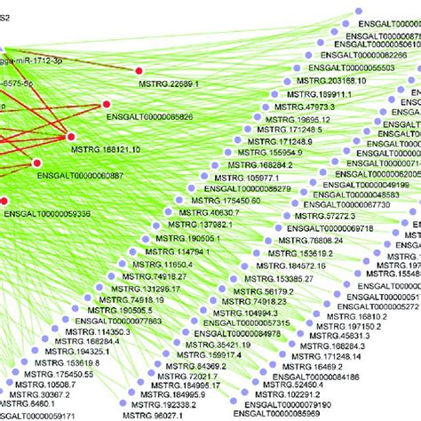 The Ma Plots Of Differentially Expressed Lncrnas In The Vaccine Treated Download Scientific