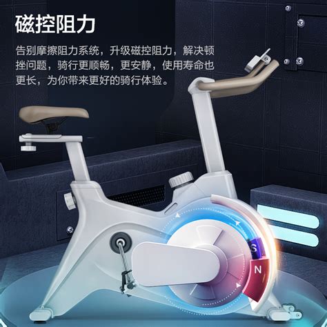亿健动感单车家用款小型健身房燃脂自行车脚踏室内专用运动器材D5 虎窝淘