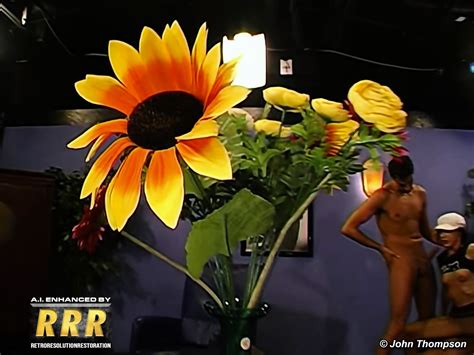 Sandra Cum In Here Please [ai Enhanced] Mausezahnchen Eporner