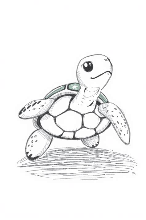12 Turtle Drawing Ideas Various Styles And Skill Levels