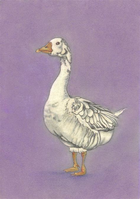 Hand Coloured White Goose Art Print Ooak Hand Coloured Print Of