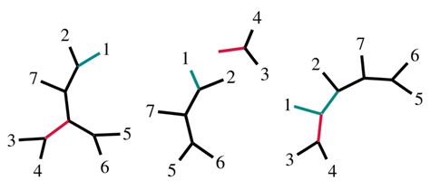 3 Subtree Prune Regraft Spr Operation On Unrooted Topologies From