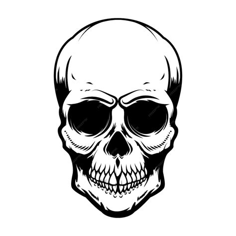 Premium Vector Human Skull Isolated On White Background Design