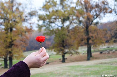 El Amor Su Definición Y Su Propósito