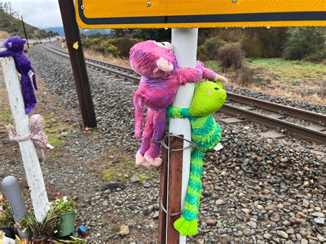 Coroners Findings Shed Light On Picton Horror Crash That Killed 7