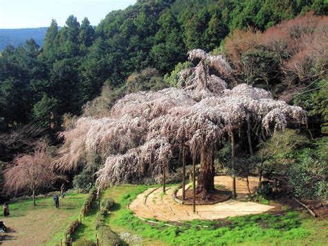 長興山 紹太寺 観光andエリア情報 かながわシープロジェクト Feel Shonan