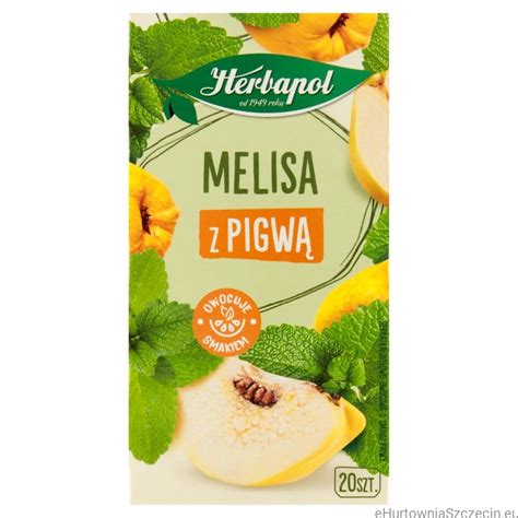 HERBAPOL HERBATA ZIOŁOWA MELISA Z PIGWĄ 20TB eHurtowniaSzczecin eu