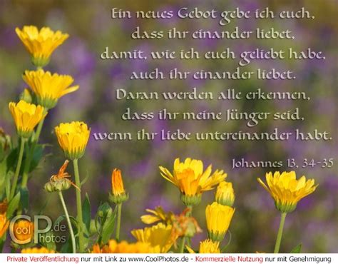 CoolPhotos De Evangelium Nach Johannes Johannes